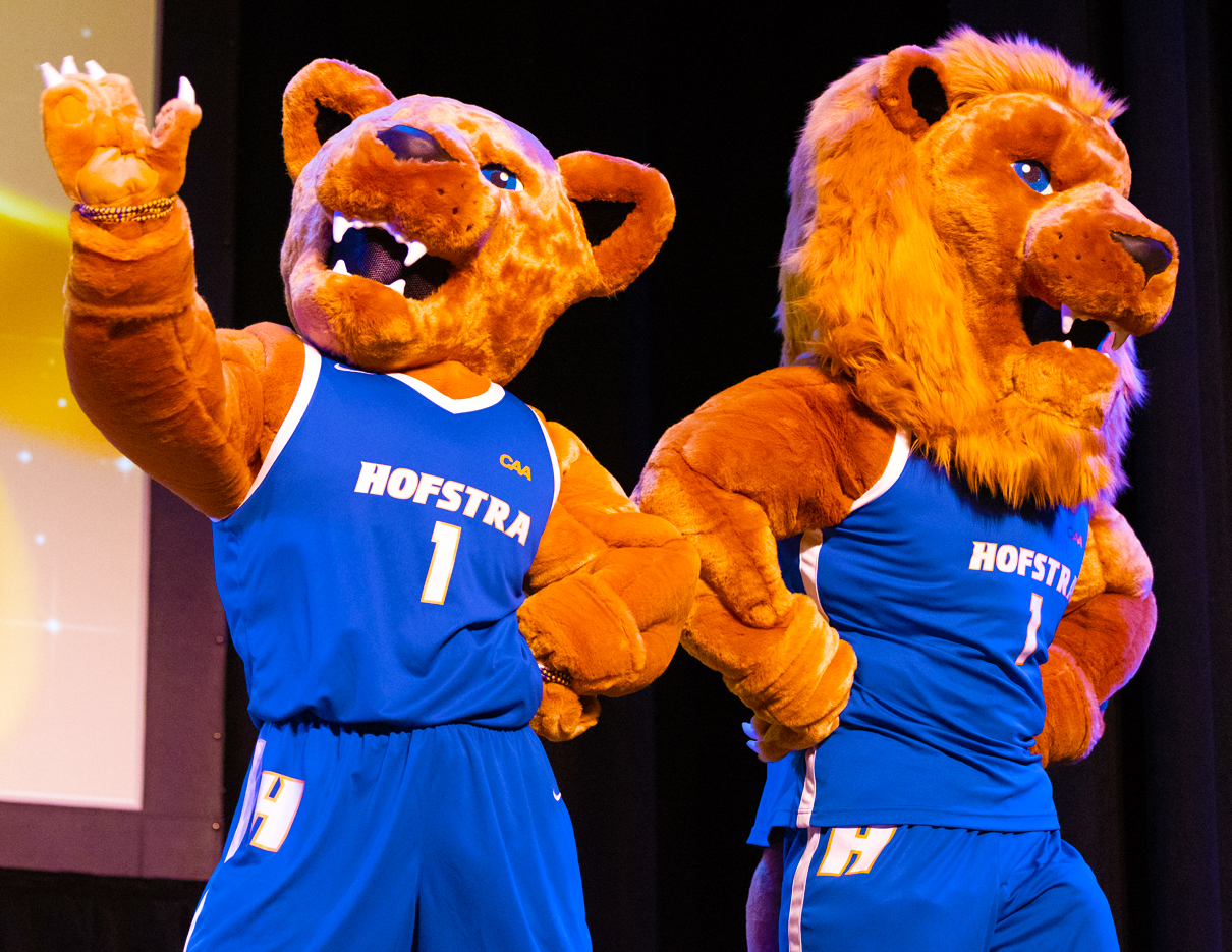 Hofstra – Phoenixdesignworks.com