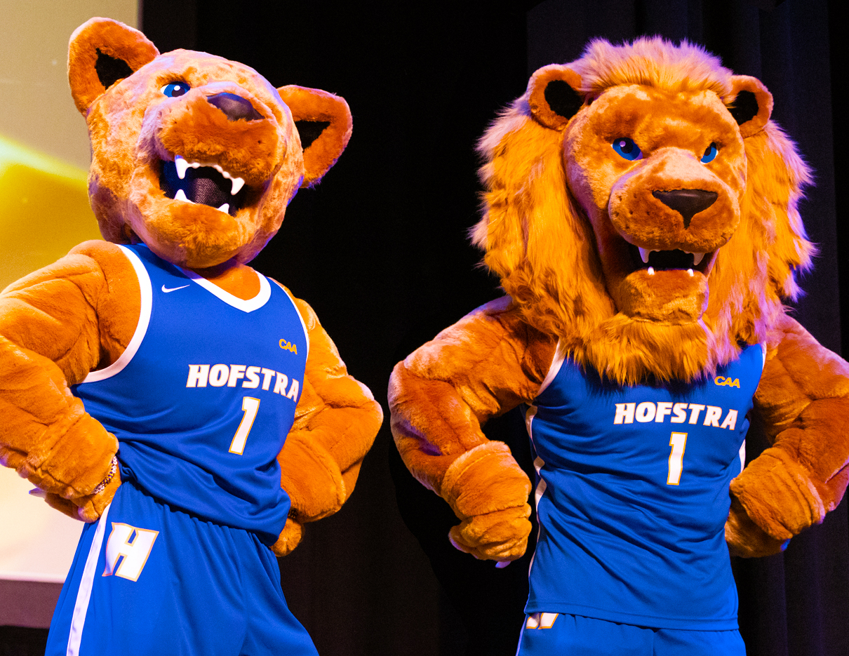 Hofstra – Phoenixdesignworks.com